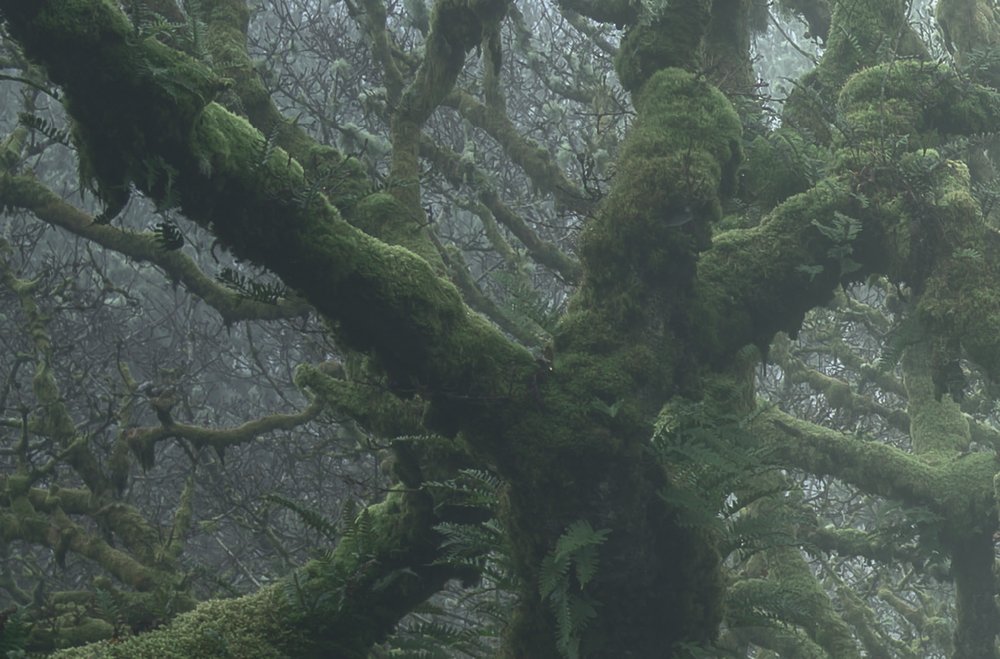 Neil Burnell, dal design alla fotografia - Fotografia.it