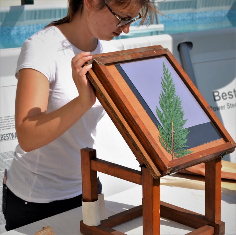 Creare immagini senza la fotocamera, come nell’800 - Fotografia.it